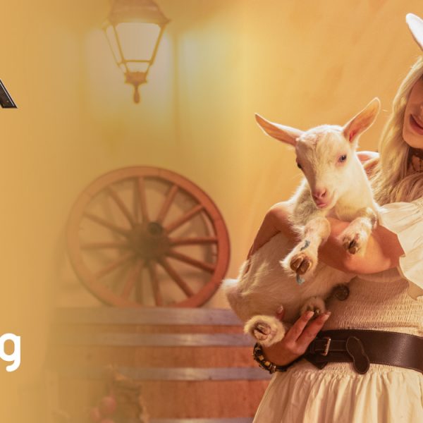 albaSAT Digital - FERMA VIP